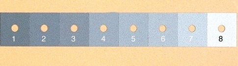 Values within Colors - Oil Painting Techniques