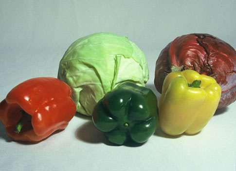 Values within Colors - Oil Painting Techniques